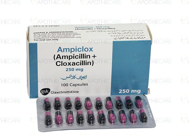 Ampiclox Cap 250mg 100's