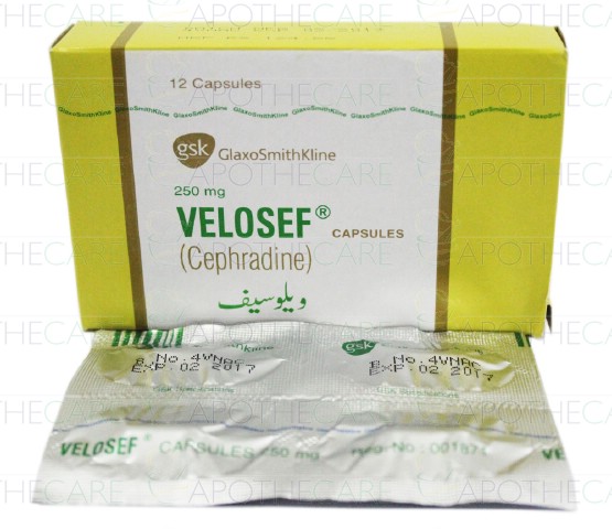 Velosef Cap 250mg 12's